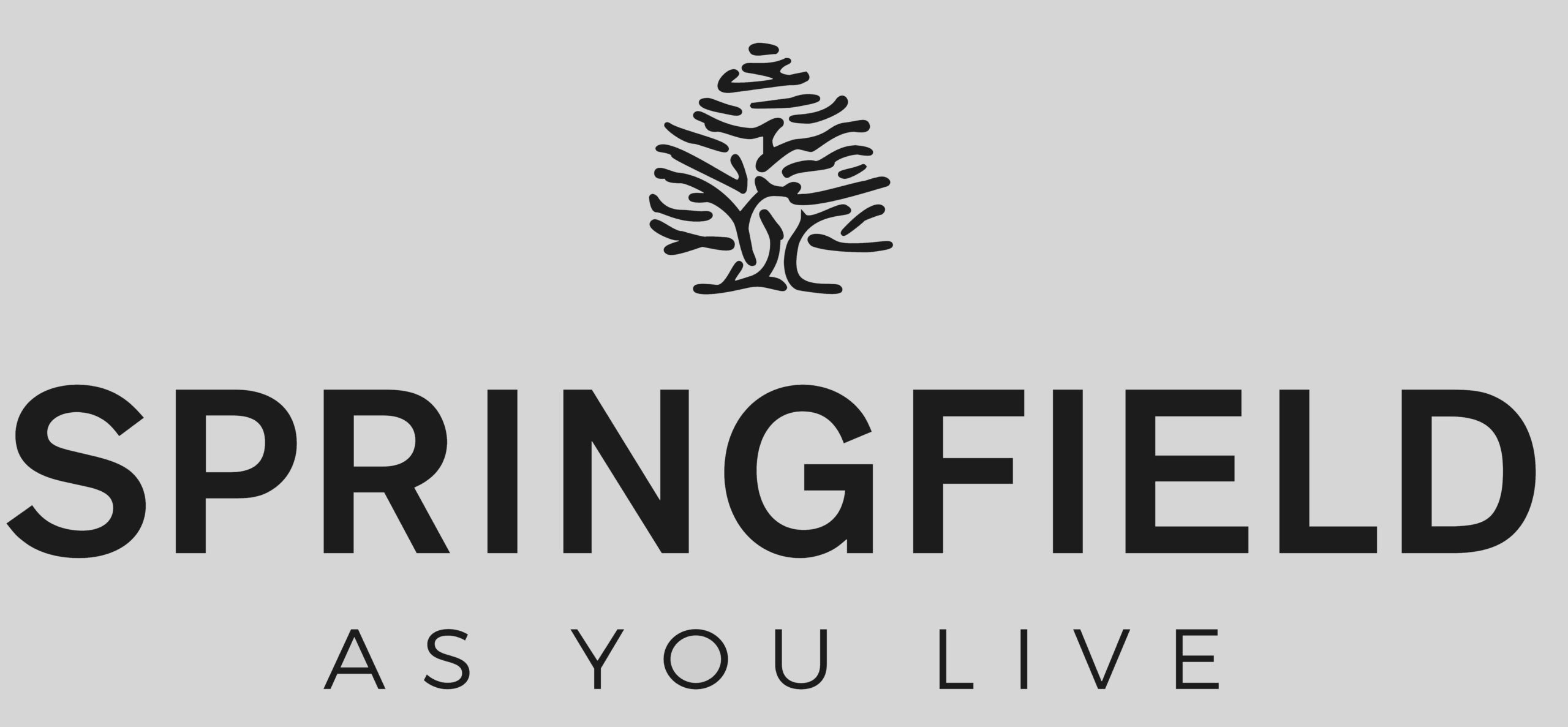 Tarjeta regalo Springfield - Cómo usar y consultar saldo